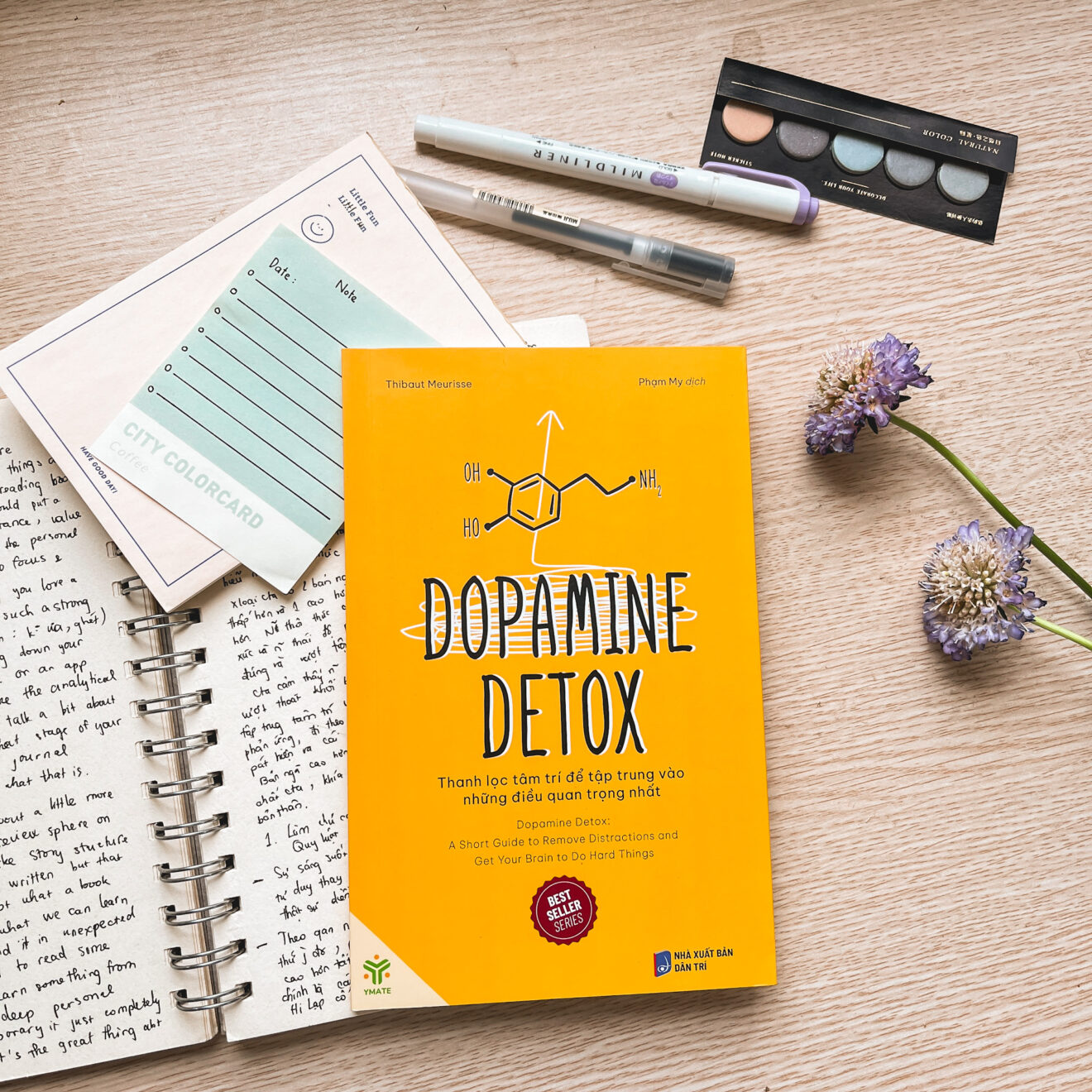 Review Sách Dopamine Detox - Nhà sách YMATE
