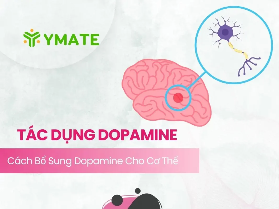 Dopamine Có Tác Dụng Gì? Cách Bổ Sung Dopamine Cho Cơ Thể - Nhà sách YMATE