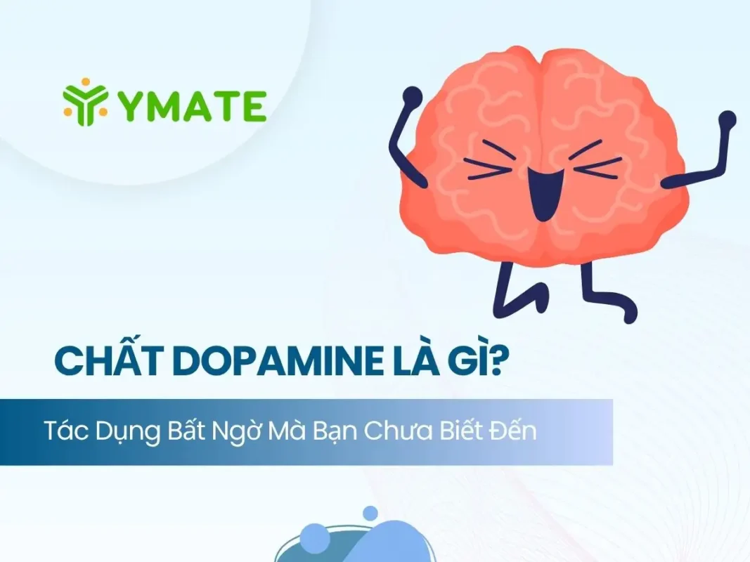 Chất Dopamine là gì? Tác dụng bất ngờ mà bạn chưa biết đến - Nhà sách YMATE